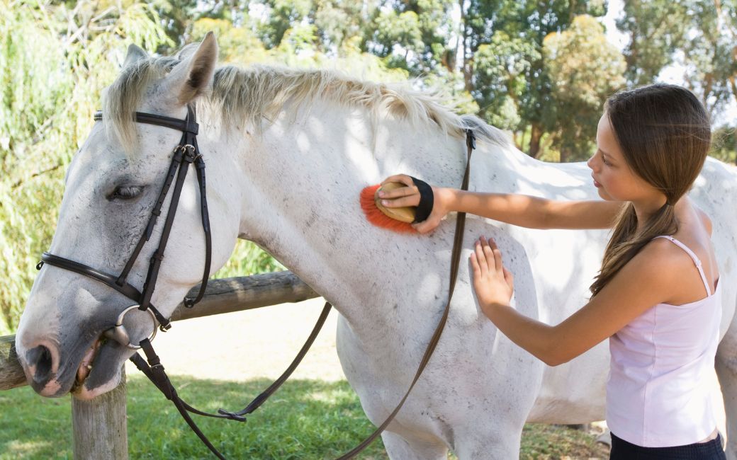 Equine Therapy | Addiction and Mental Health Treatment Center